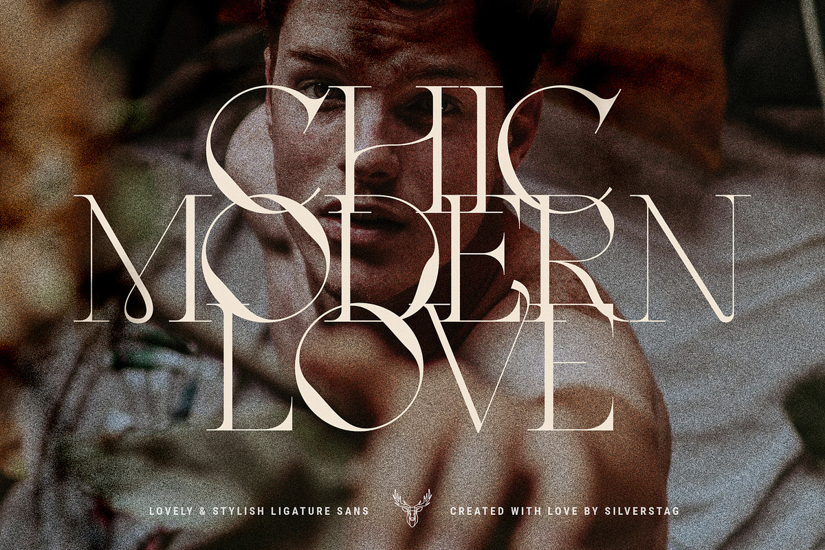 MOON CROWD - Elegant & Stylish Serif, a Serif Font by SilverStag Type ...