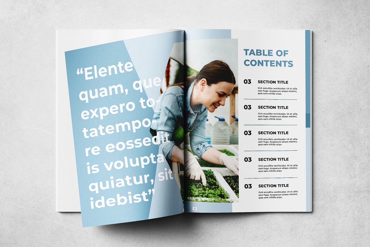 Magazine Layout, a Magazine Template by Grkic Creative