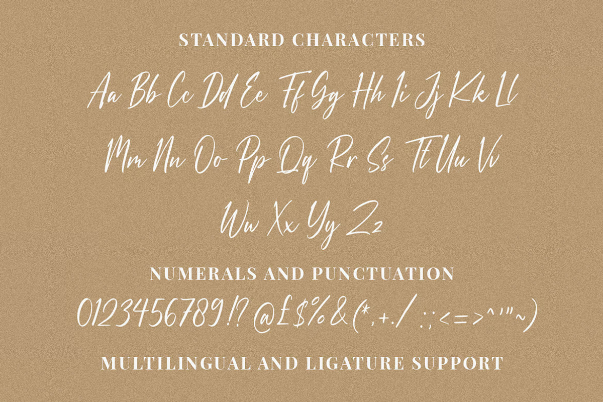 Dandelion Fall Script | Creative Market