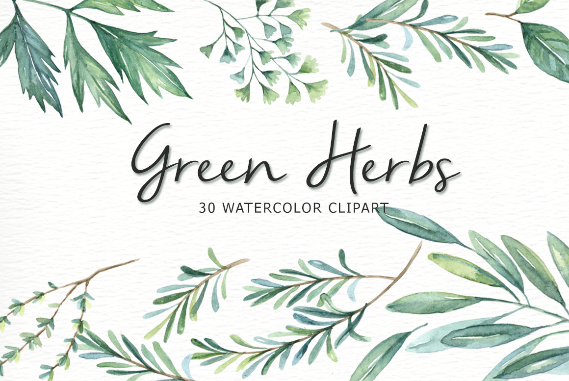 Green Herbs Watercolor clipart, a Food Illustration by everysunsun