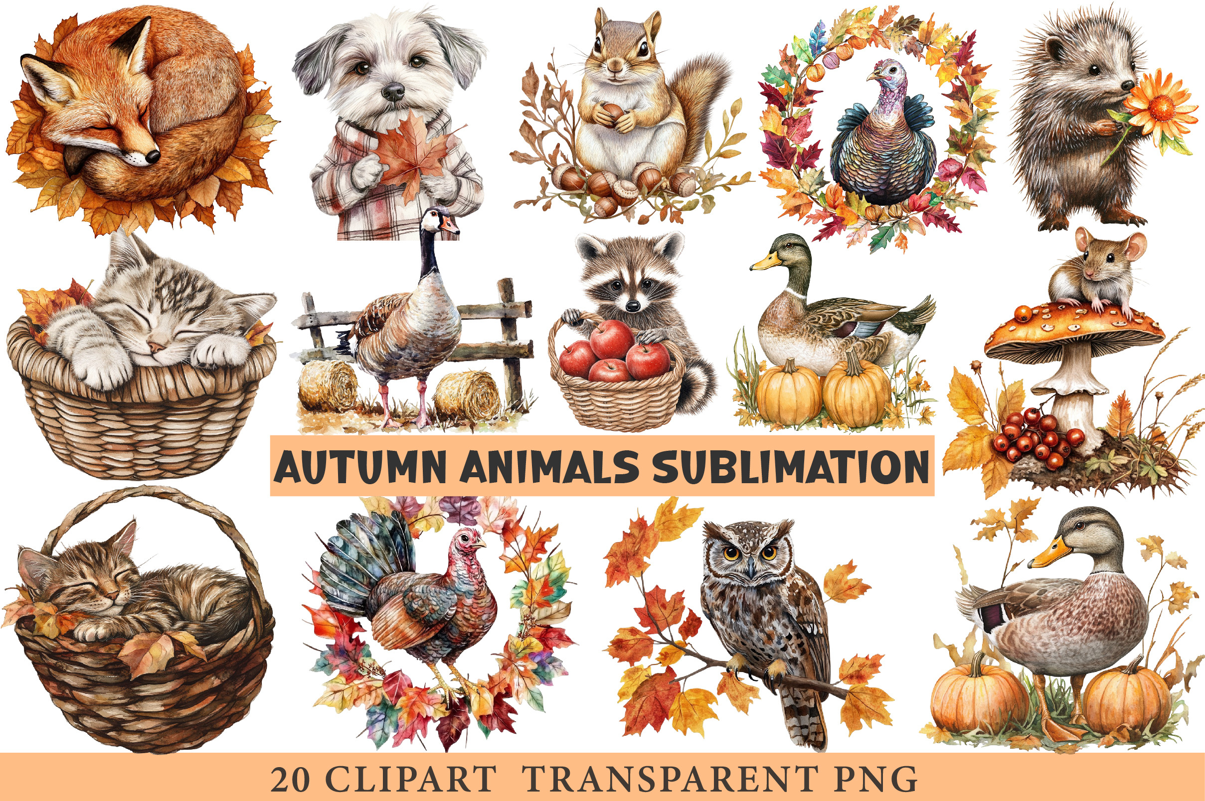 Autumn Animals Clipart, Fall Clipart, an Animal Illustration by ...