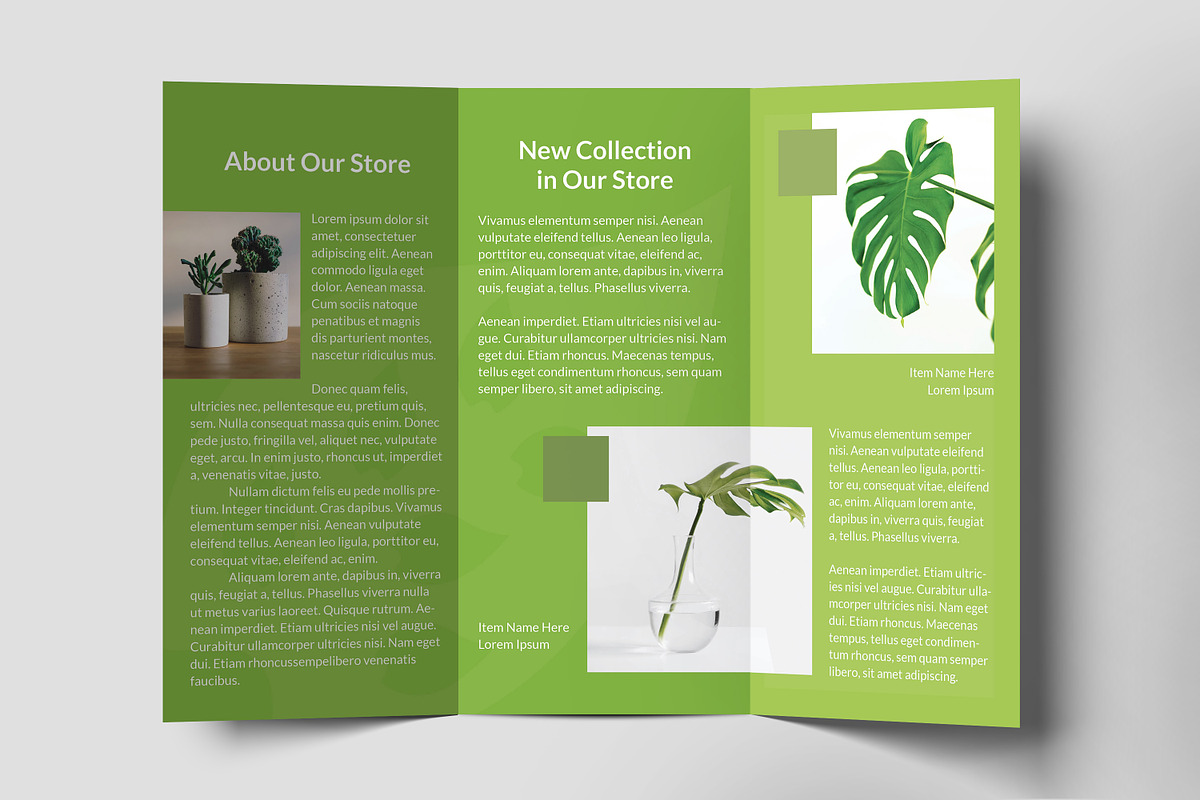 Decorative Plant Trifold Brochure, a Brochure Template by AQR Studio ...