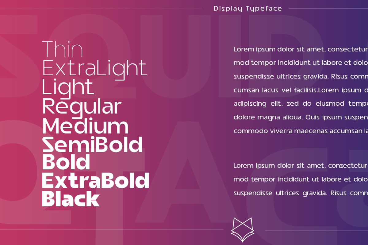 Squid GT Display, a Font by Foxtype