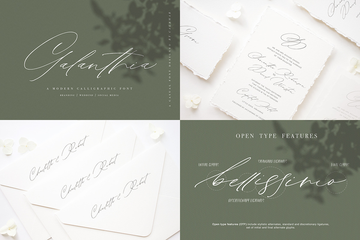 Modern Calligraphy Font Bundle, a Script Font by Calamar Studio