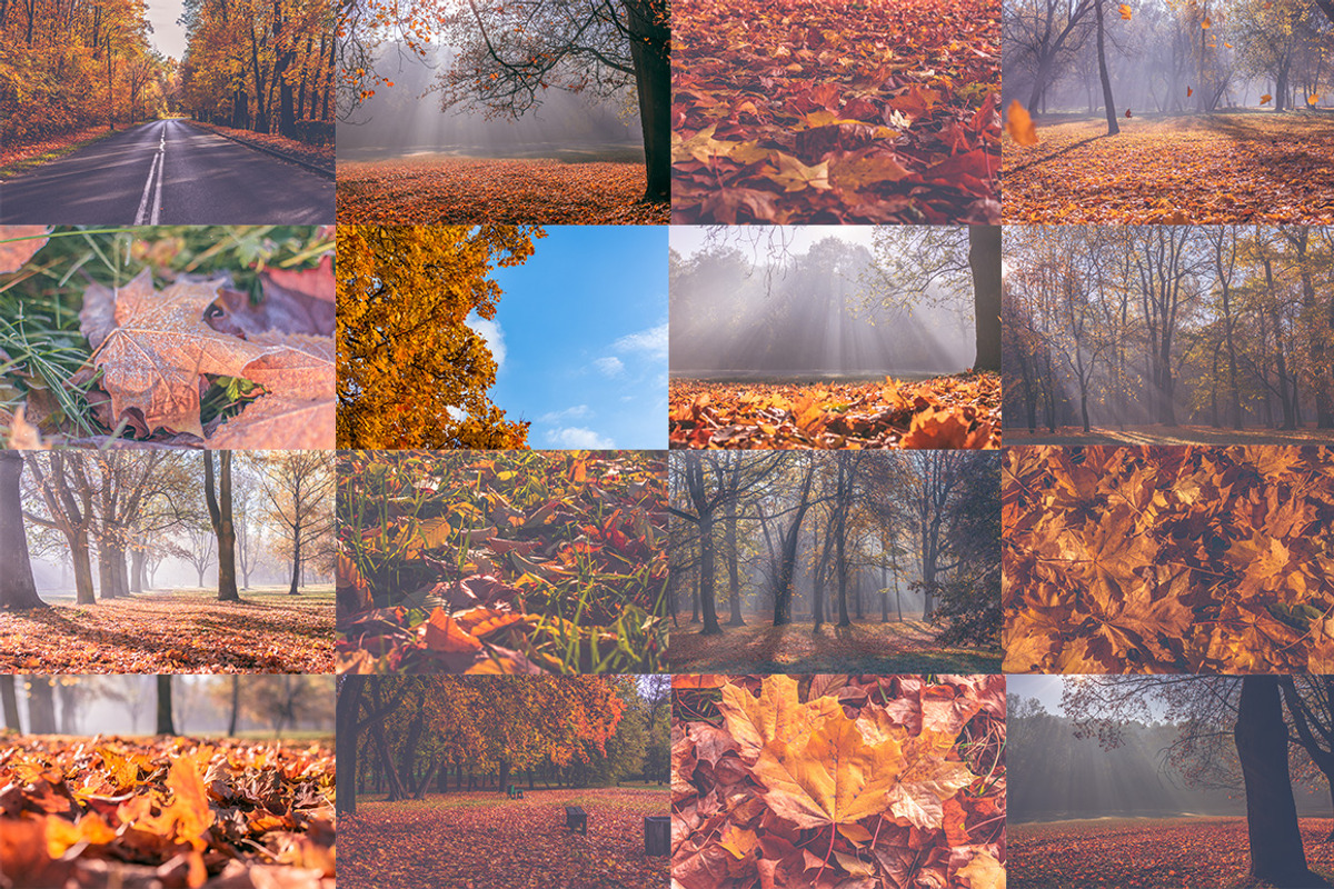 Autumn Photo Pack, a Templates & Theme by Zabiegala MP