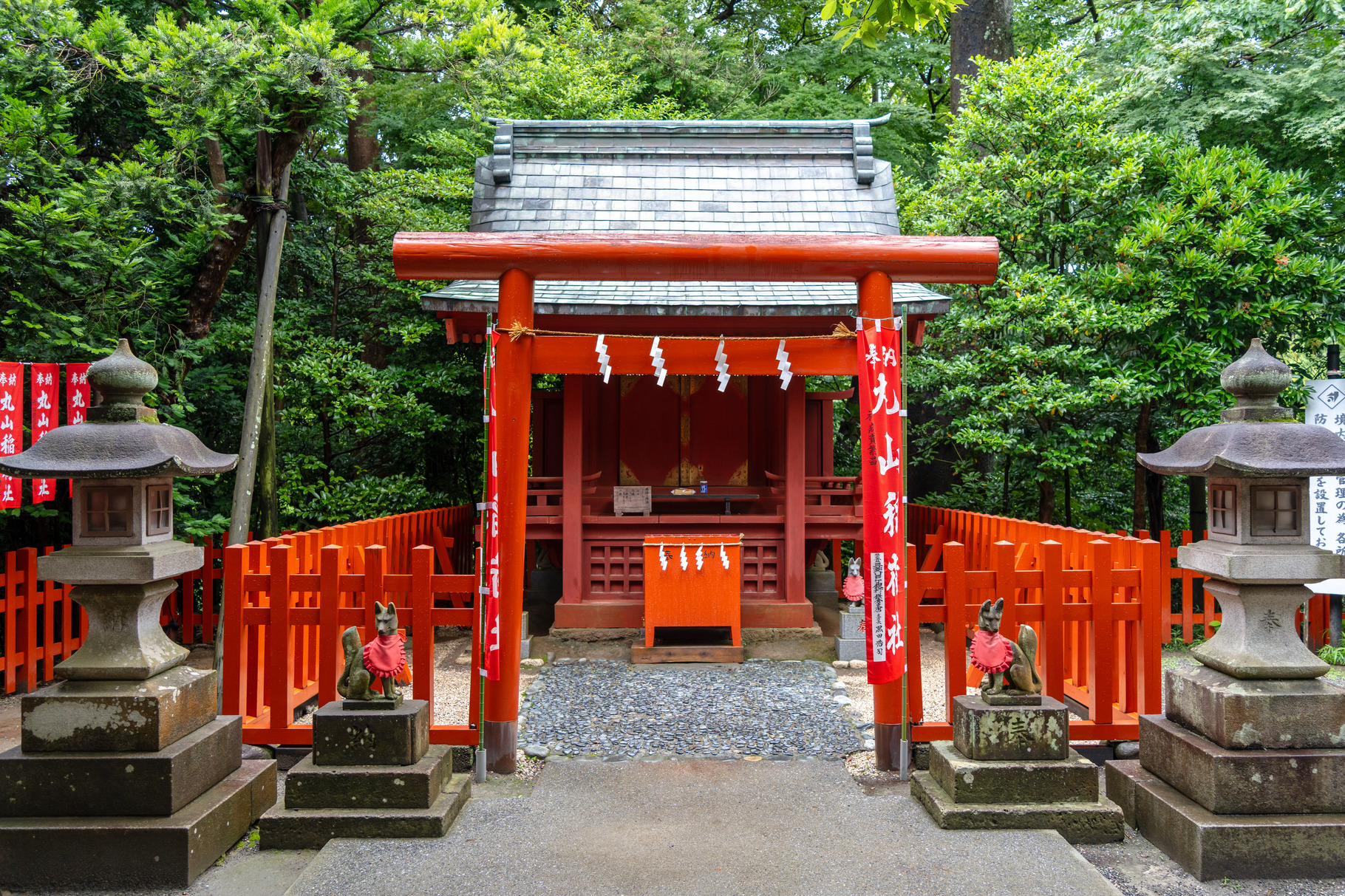 Torii gates and flags at Maruyama Inari Shrine in Kamakura, an ...