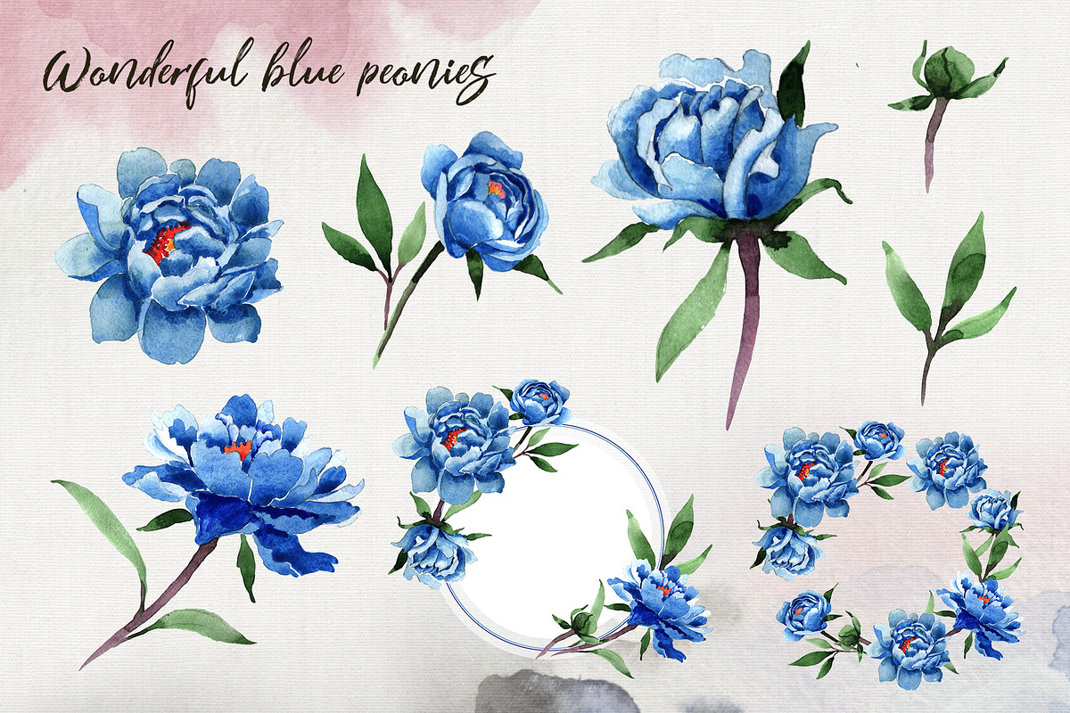 Watercolor and Vector set SVG PNG, a Decorative Illustration by ...