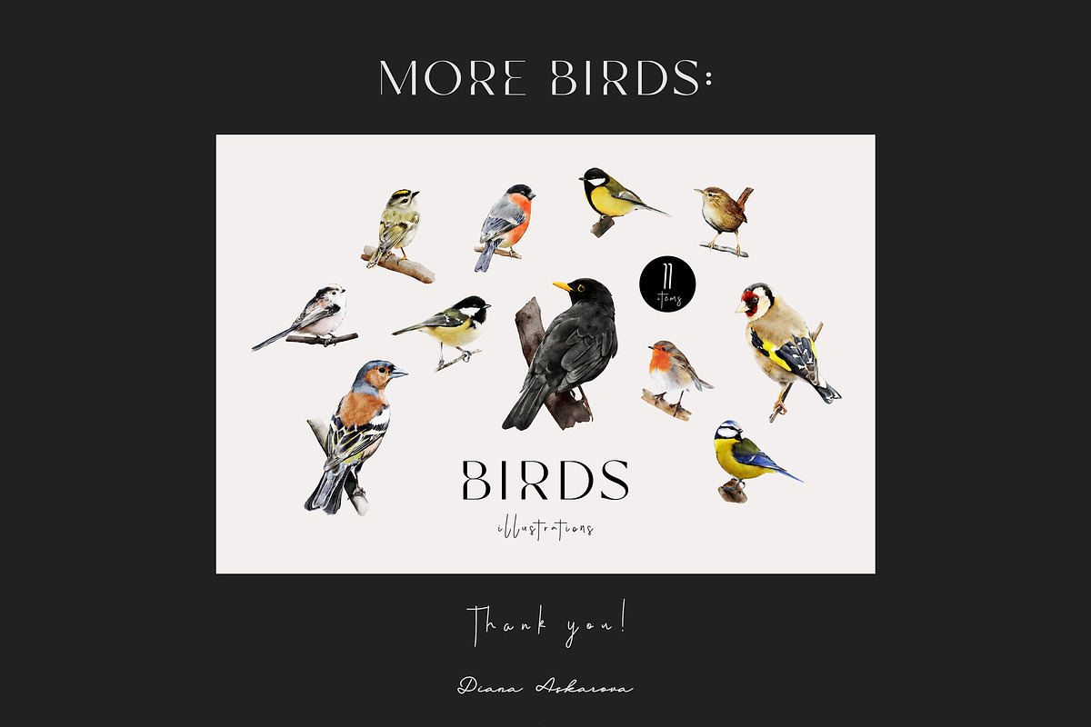 Birds of North America watercolor set