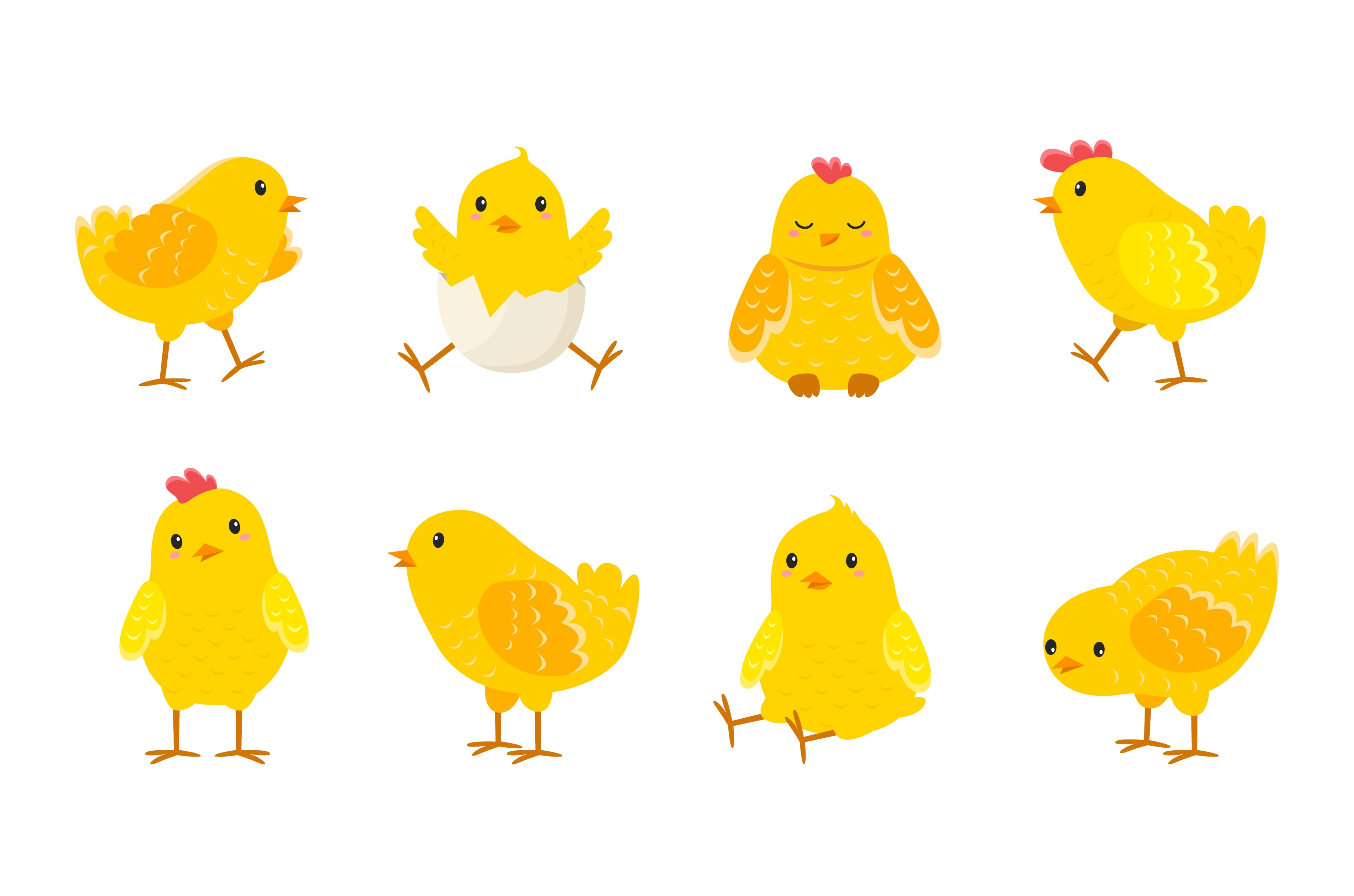 Cartoon Easter chicks. Baby farm, an Animal Illustration by YummyBuum