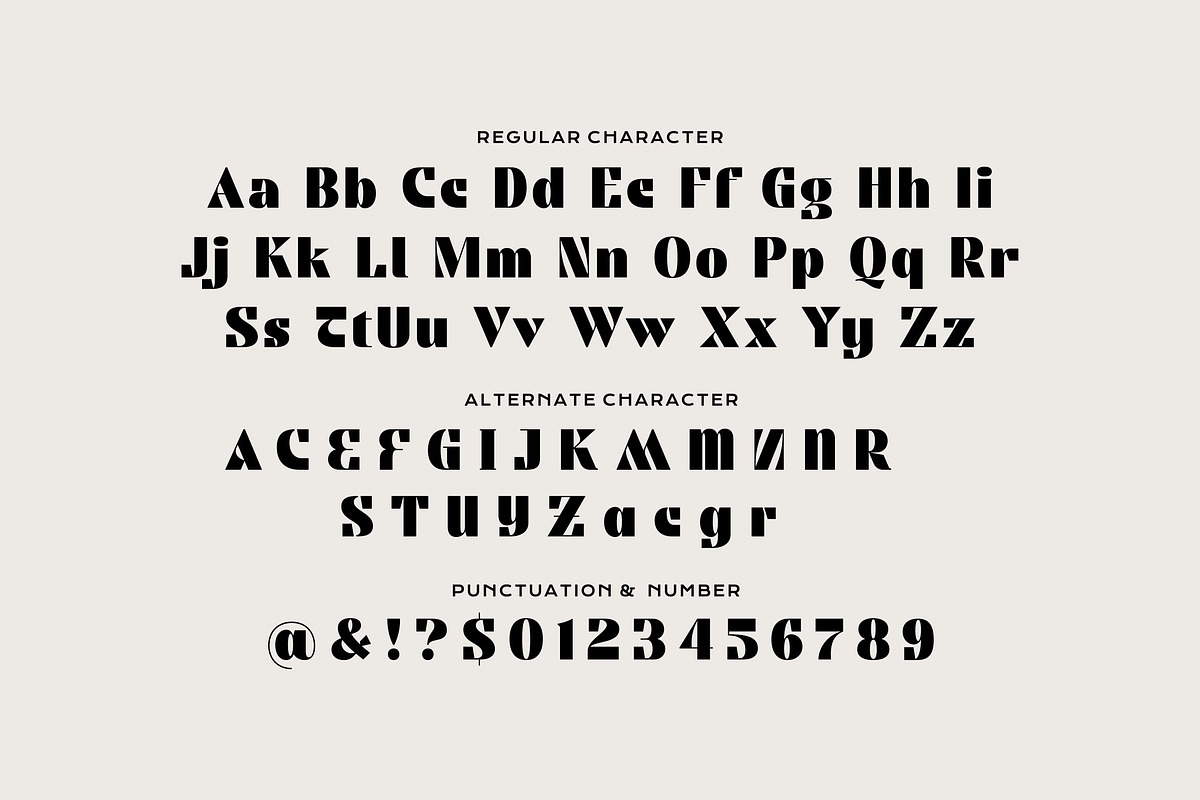 Risk Atoms - Aesthetic Bold Font, a Serif Font by Fype Co.