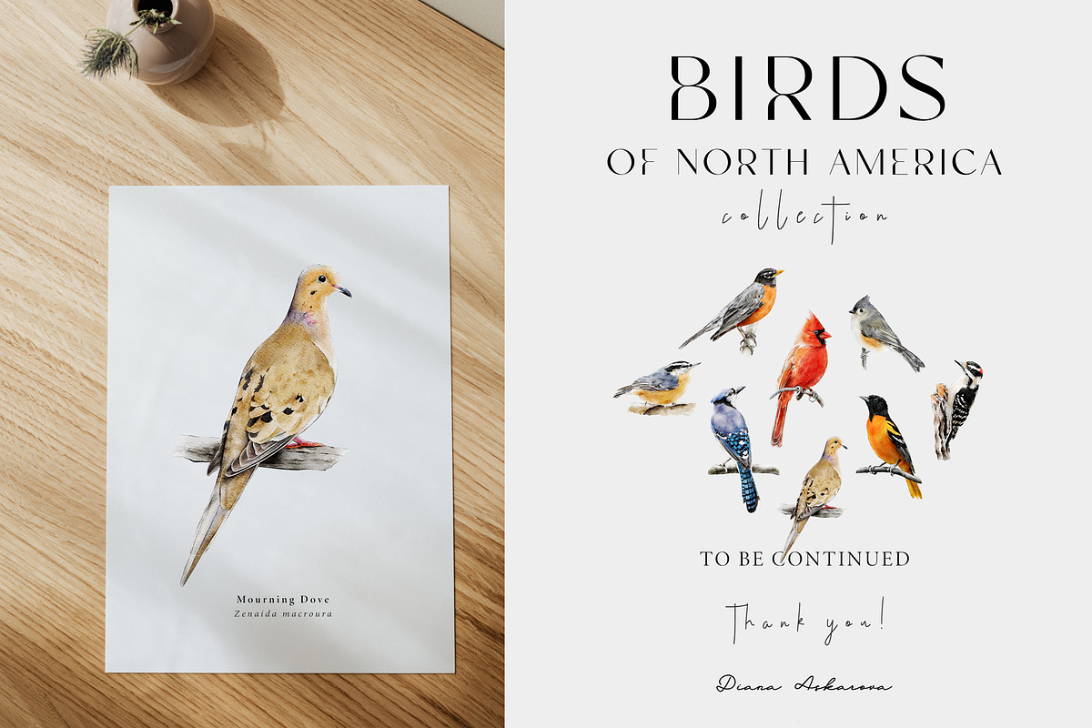 Birds of North America watercolor set