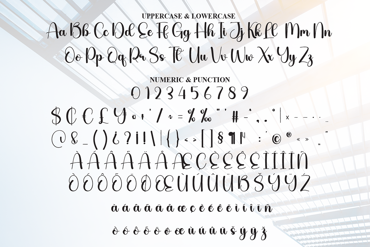 Skylight | Script Font, a Handwritten Font by Scratchones