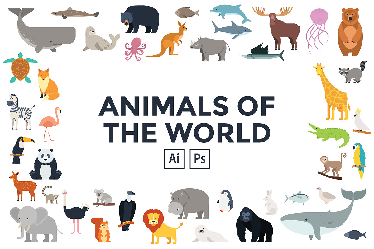 187 Animals Of The World, an Animal Illustration by Andrew Kras Design