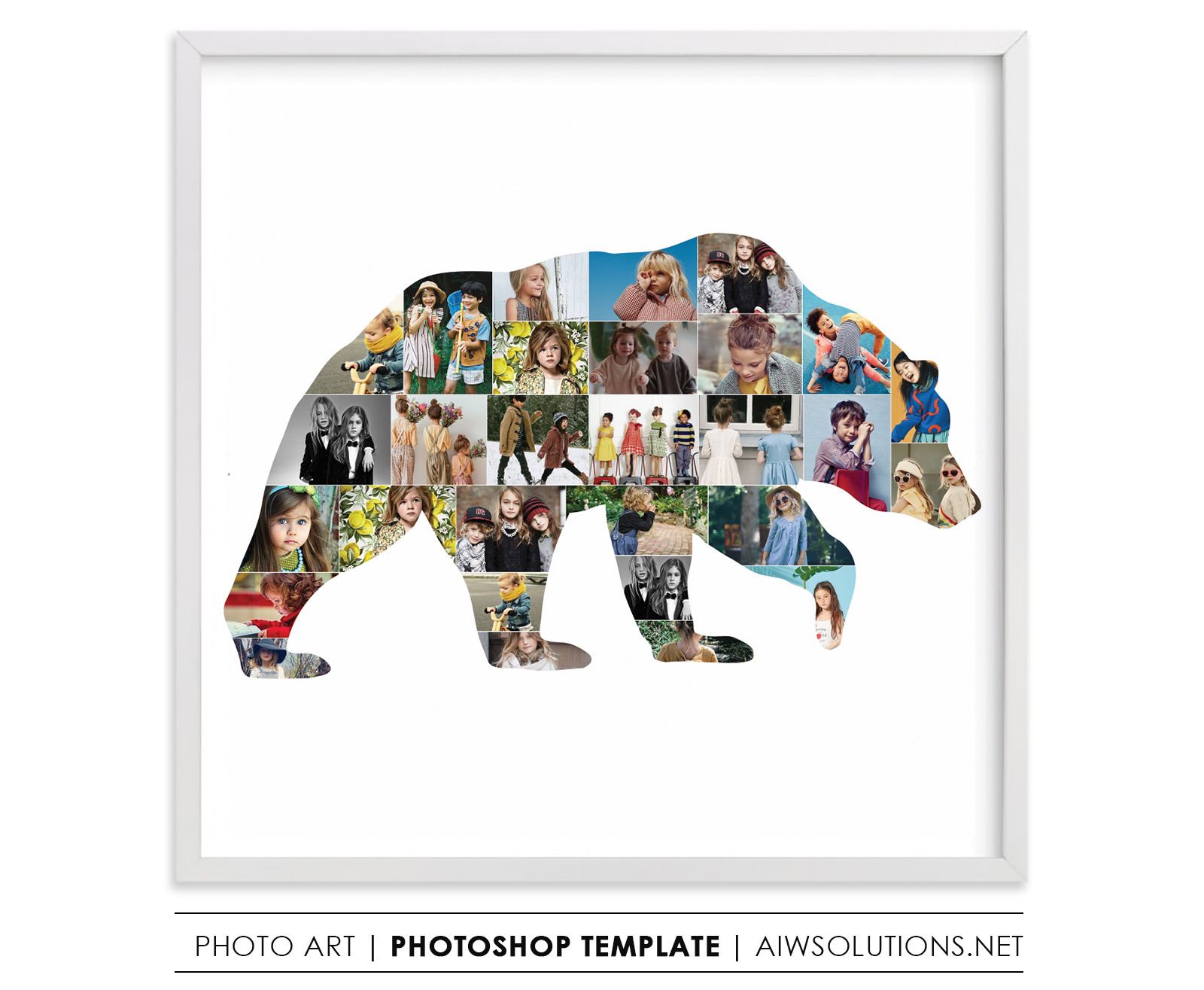 Bear Photo Collage template, a Resume Template by AIW SOLUTIONS