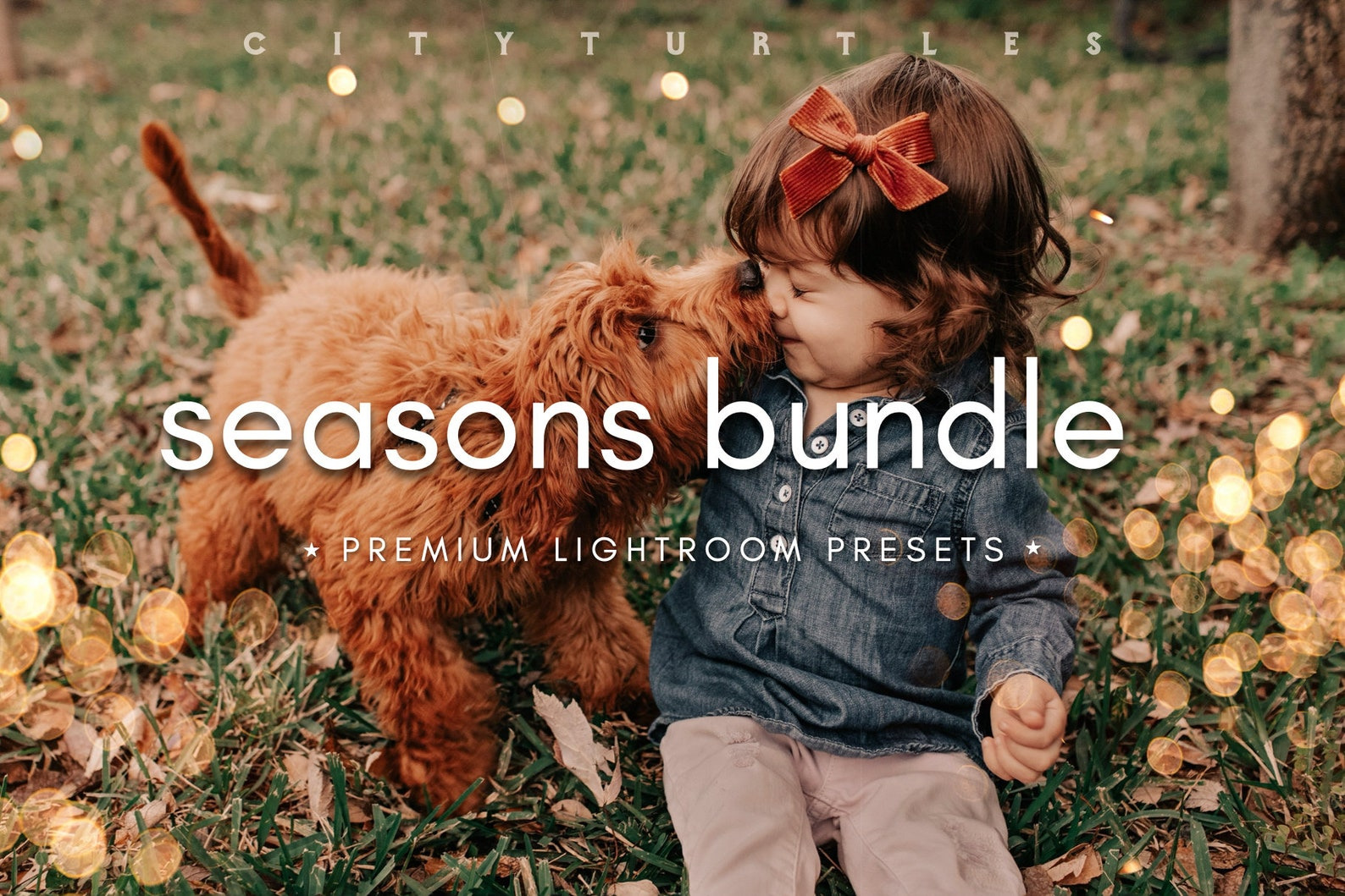 THE SEASONS BUNDLE Lightroom Presets, an Action Add-On by CityTurtles