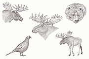 Vector set of engraved animals, an Object Graphic by FleurArt