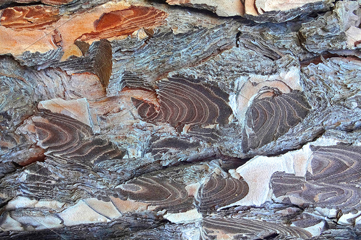 20 Bark Textures Pack, a Texture Graphic by TrueMitra Designs