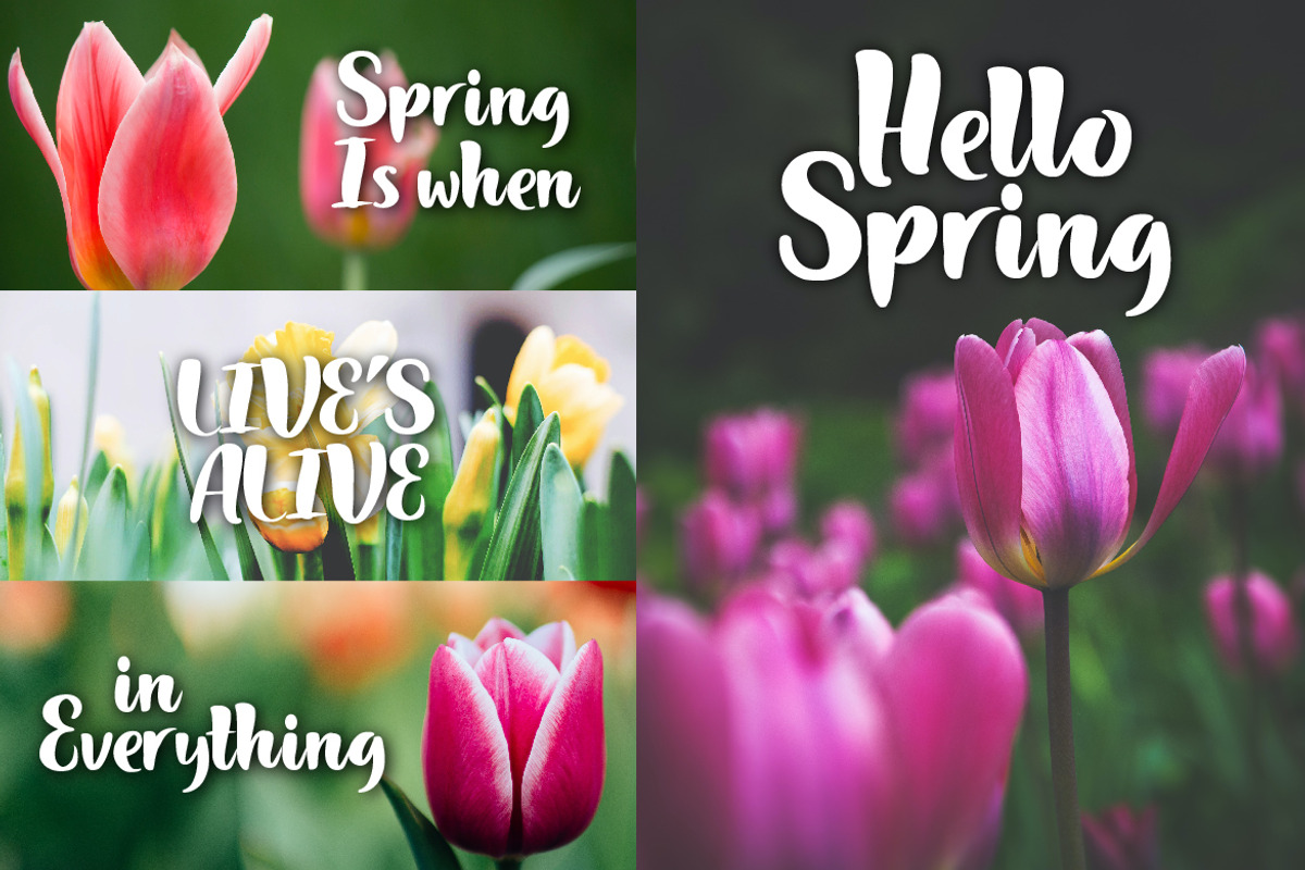 Hello Spring Brush Script, a Script Font by Debut Studio