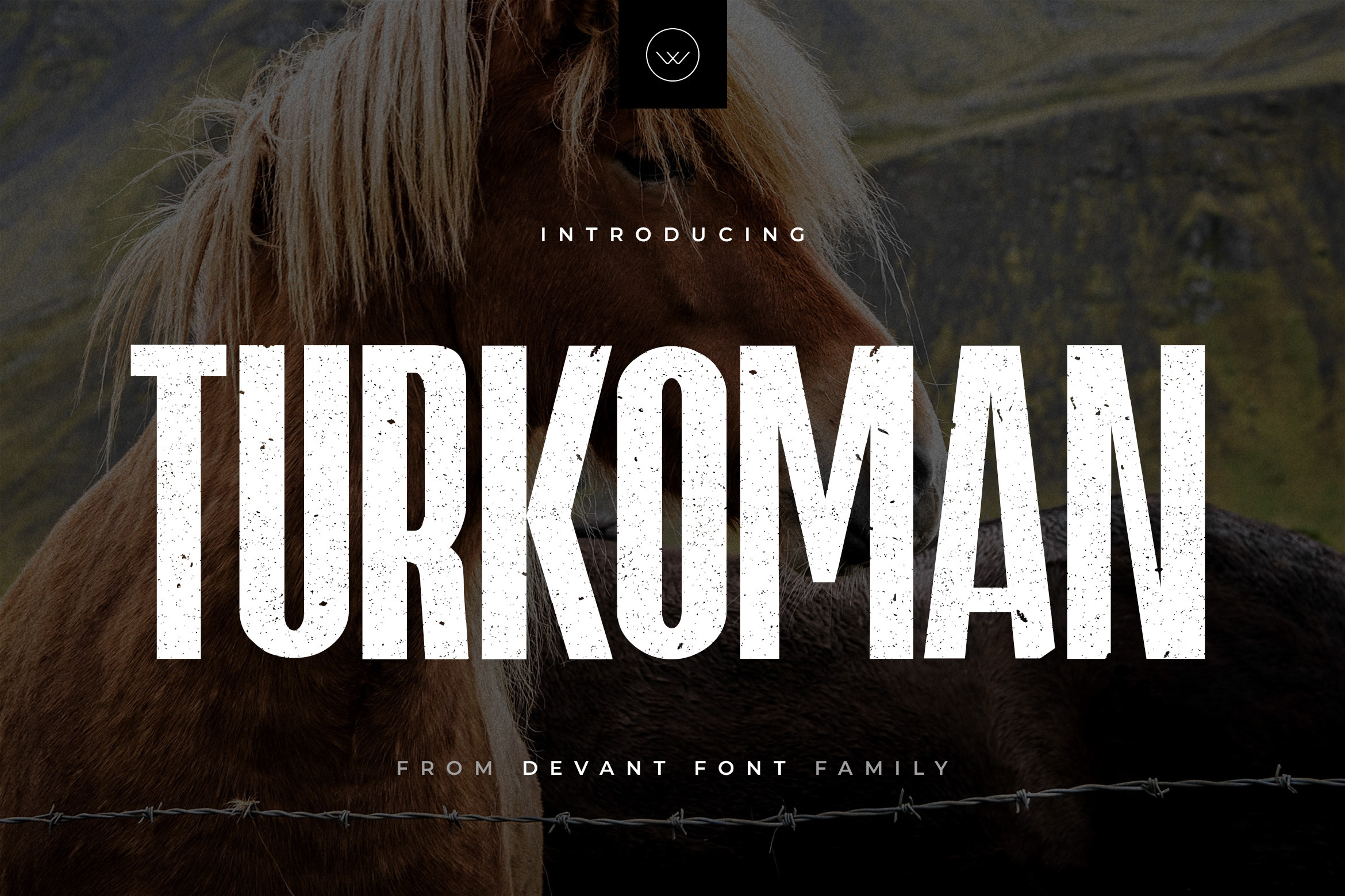 Devant Turkoman - Modern Typeface, a Sans Serif Font by Webhance Studio