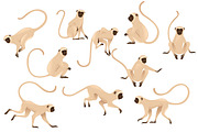 Set of cute vervet monkey beige, an Animal Illustration by Alfmaler