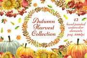 Autumn Harvest Collection | Food Illustrations ~ Creative Market