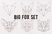 Big fox set, an Object Graphic by DSGN | Creative Market
