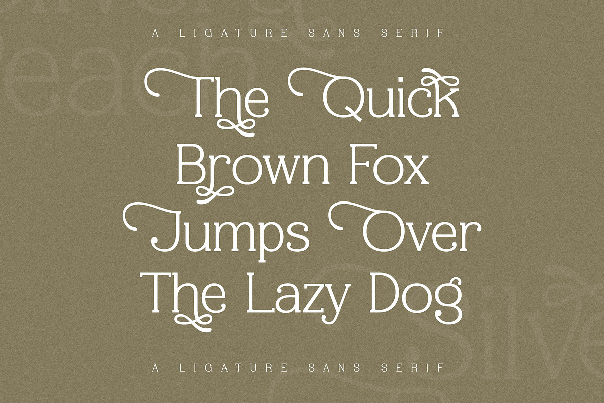 Silvera Peach A Ligature Serif Font, a Serif Font by Storytype Studio