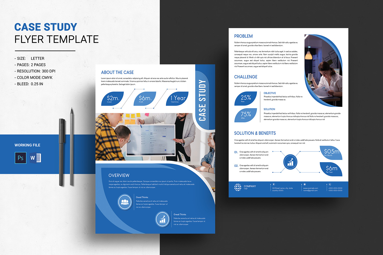 Case Study Flyer Template, a Flyer Template by crazyOWL