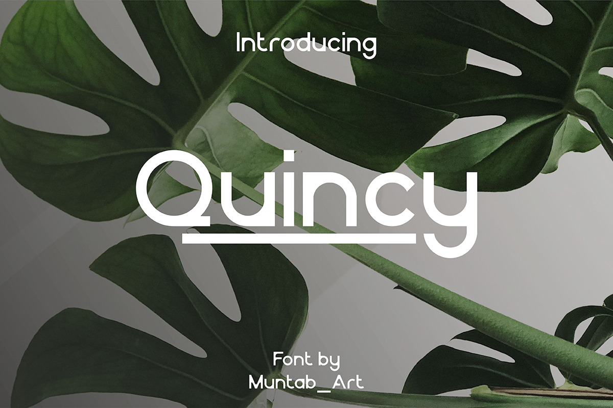 Quincy | Elegant Font, a Sans Serif Font by Muntab_Art