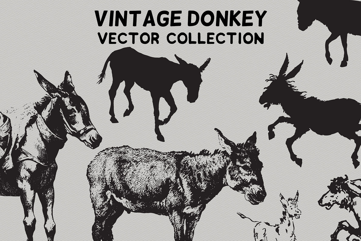 Vintage Donkey Vector Collection, an Animal Illustration by Heather ...