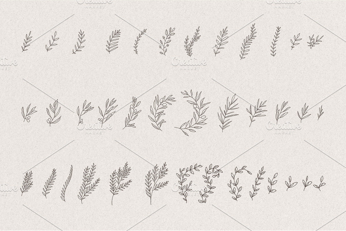 Set of hand drawn greenery, a Decorative Illustration by TheMountBirdStudio