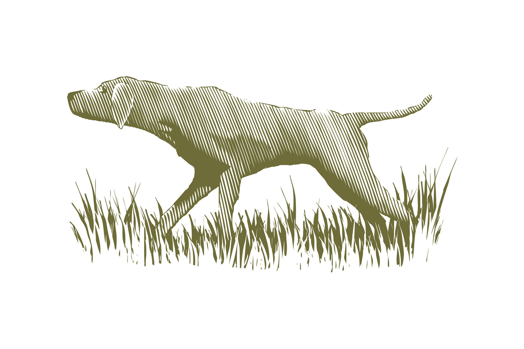 Woodcut Bird Dog, a Graphic by blue67sign