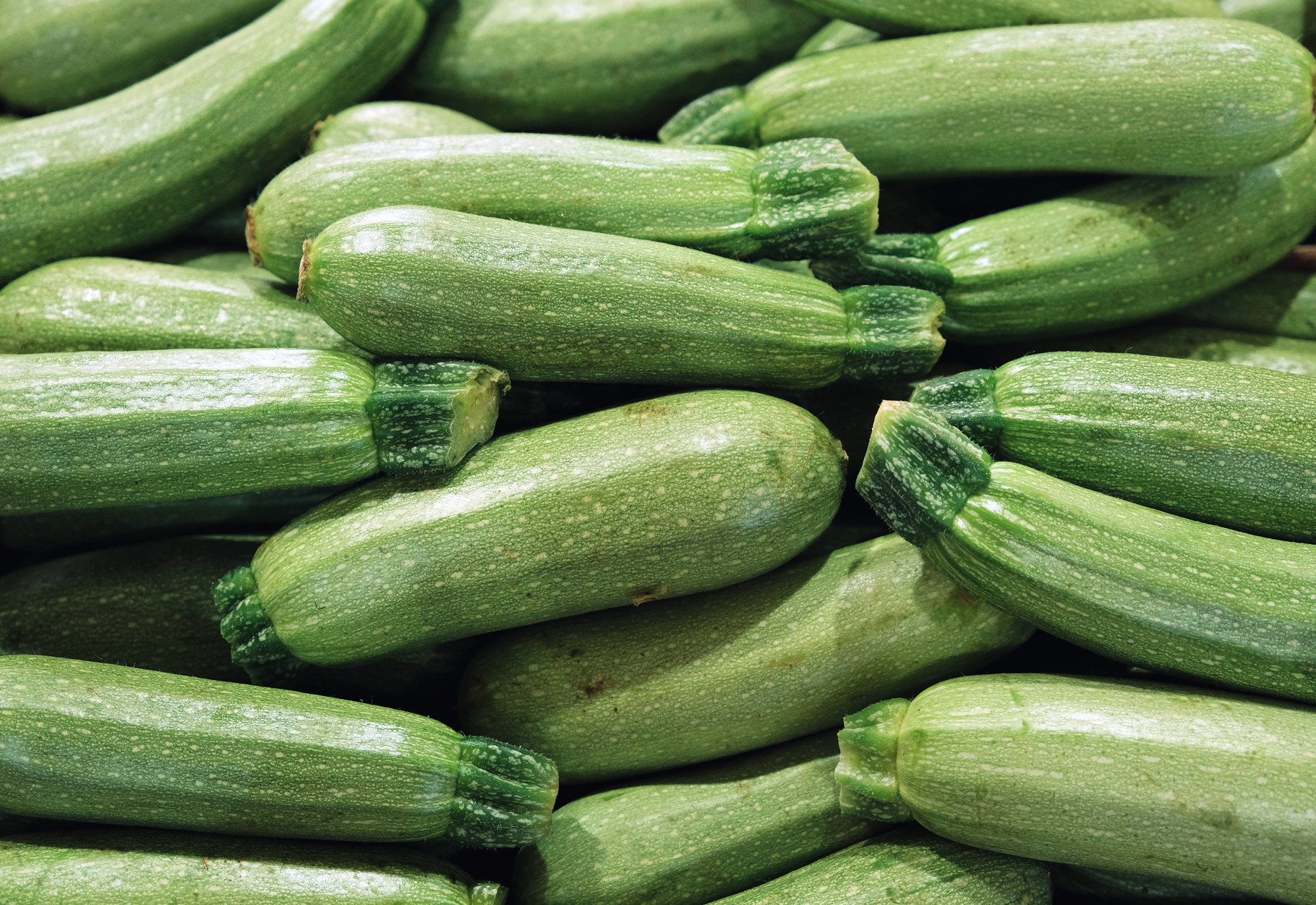 green zucchini top view, a Food & Drink Photo by AlexZaitsev