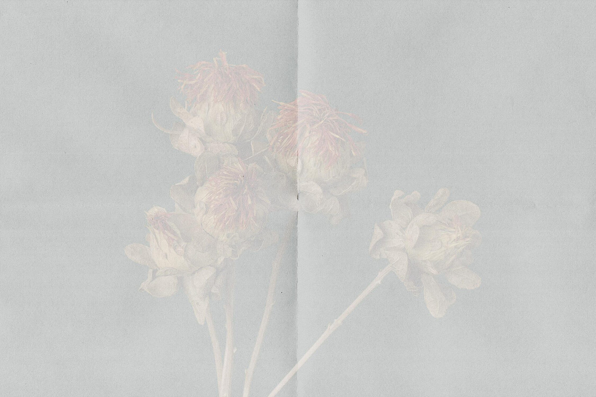 Folded Paper Textures Collection, a Texture Graphic by Design Squad