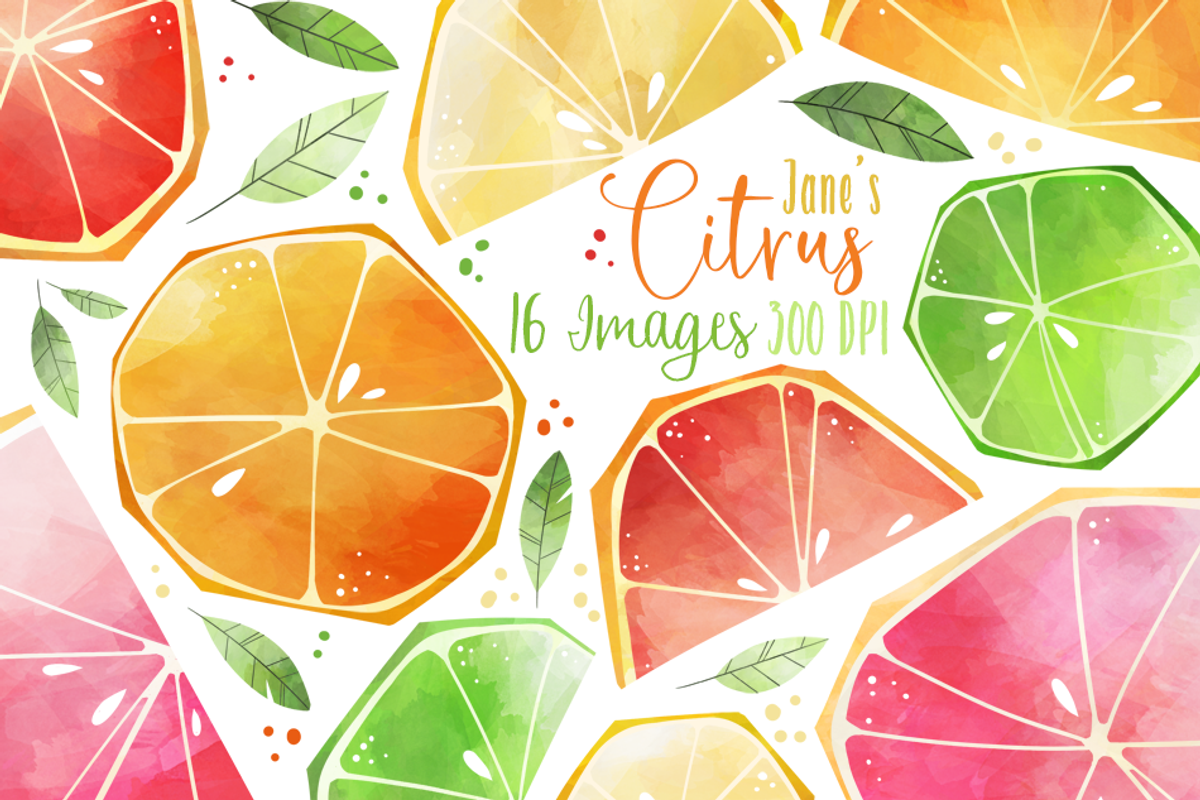 Watercolor Citrus Slices Clipart, a Food Illustration by DigitalArtsi