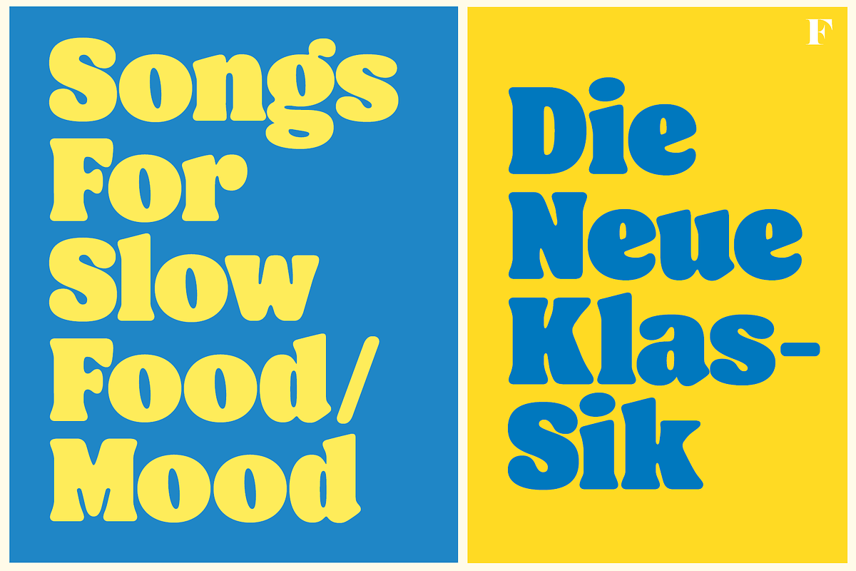 Berliner Typeface, a Serif Font by Fenotype
