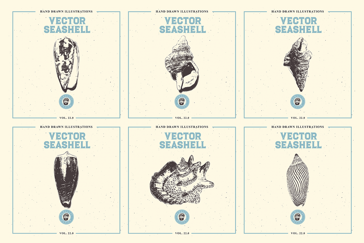 VECTOR SEASHELL HAND DRAWN BUNDLE 22, an Illustration by pawellpi