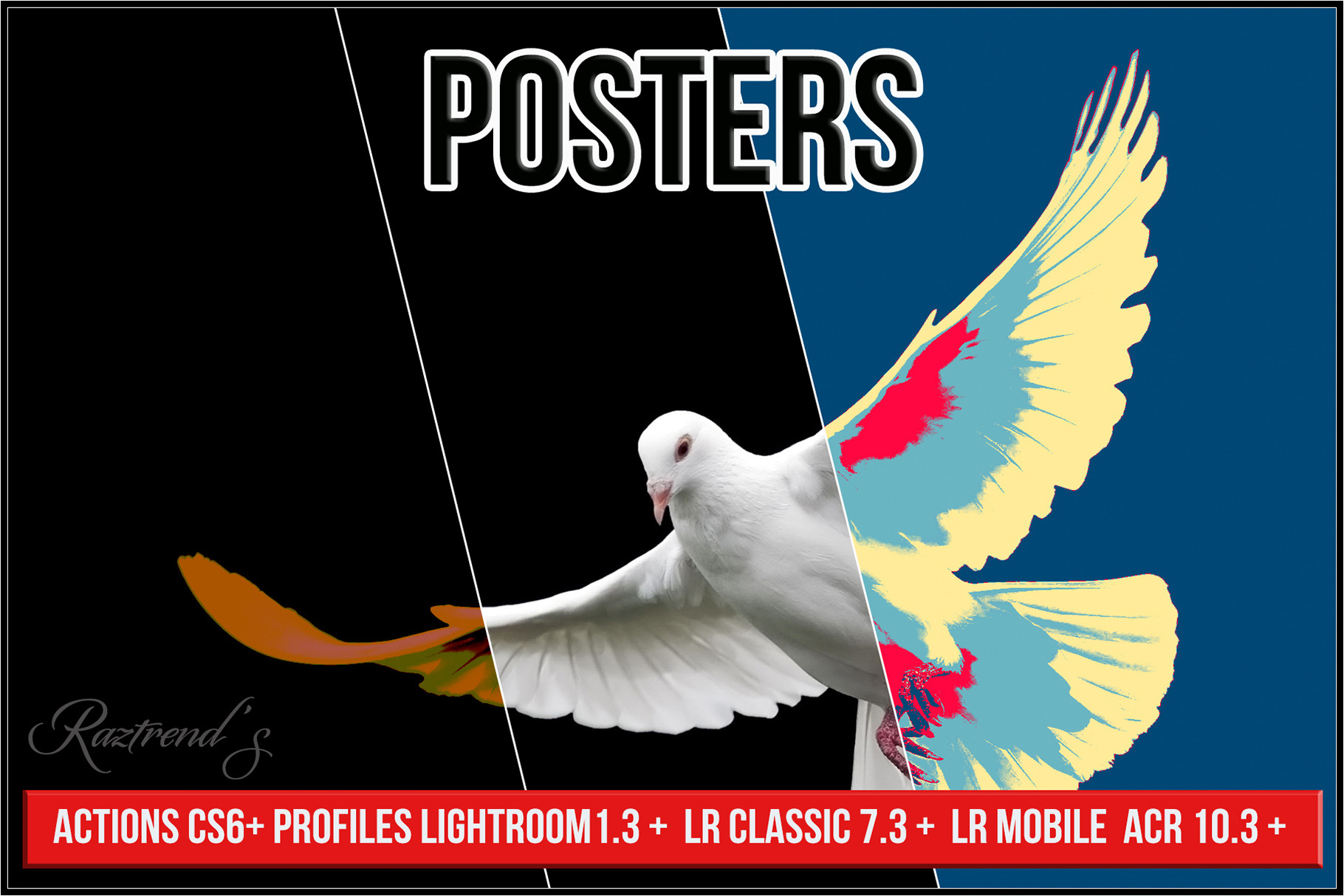 Posters Actions and Profiles LR ACR, a Plug-in Add-On by Raztrend