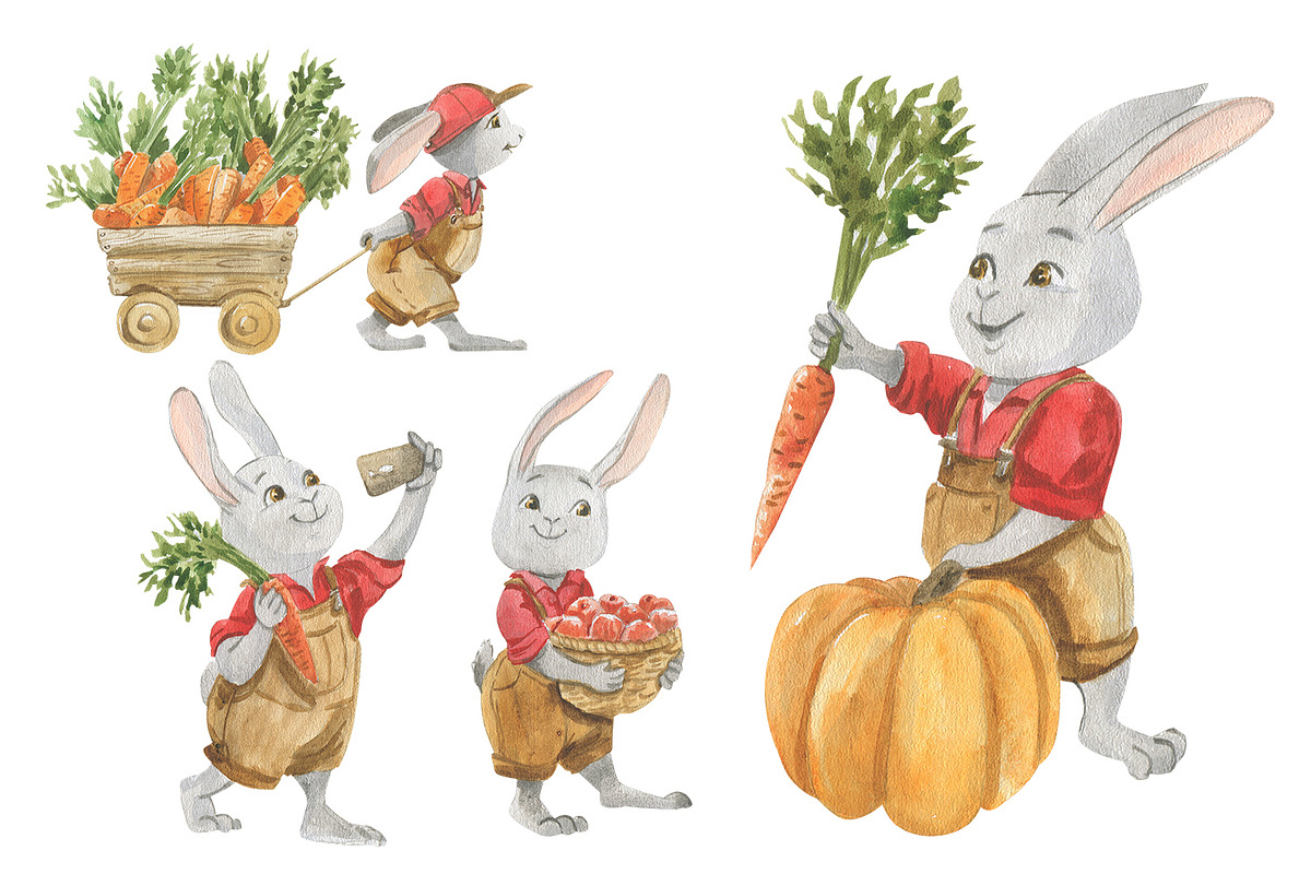 Rabbits are harvesting. | Creative Market
