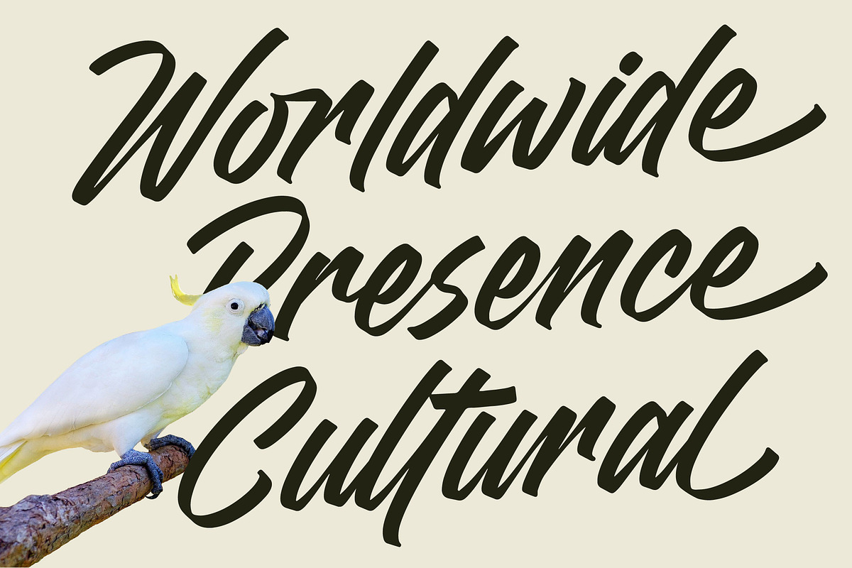 Madena Vintage Bold Script Font, a Script Font by Letterena Studios Script