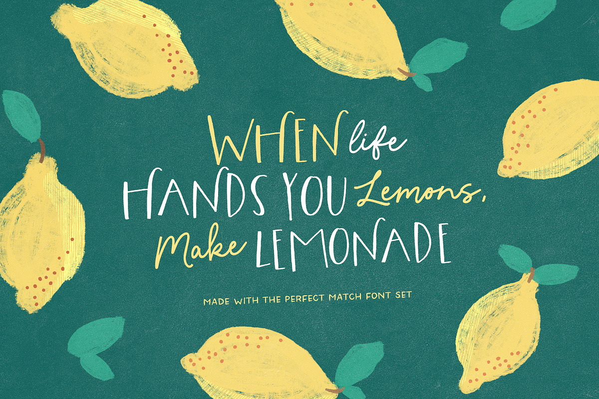 The Perfect Match Fonts and Dings, a Font by Nicky Laatz