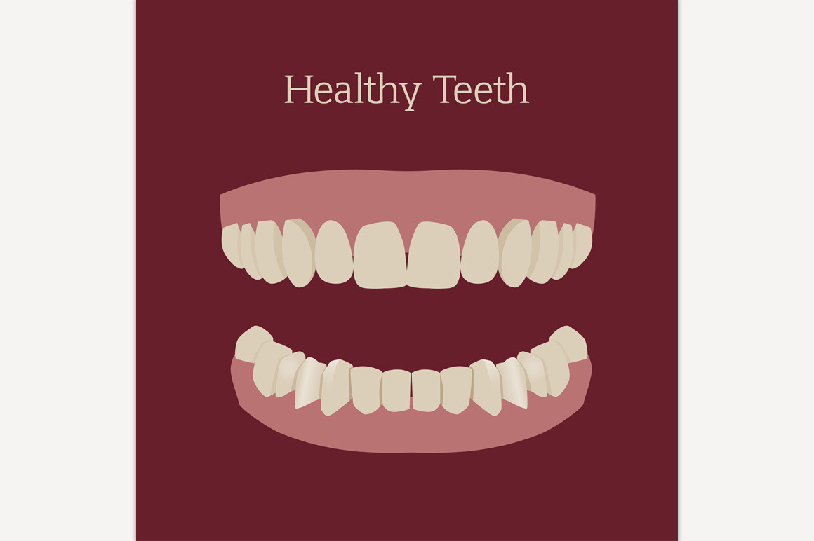 Healthy Teeth Vector Image, a Healthcare Illustration by Anna's Shop