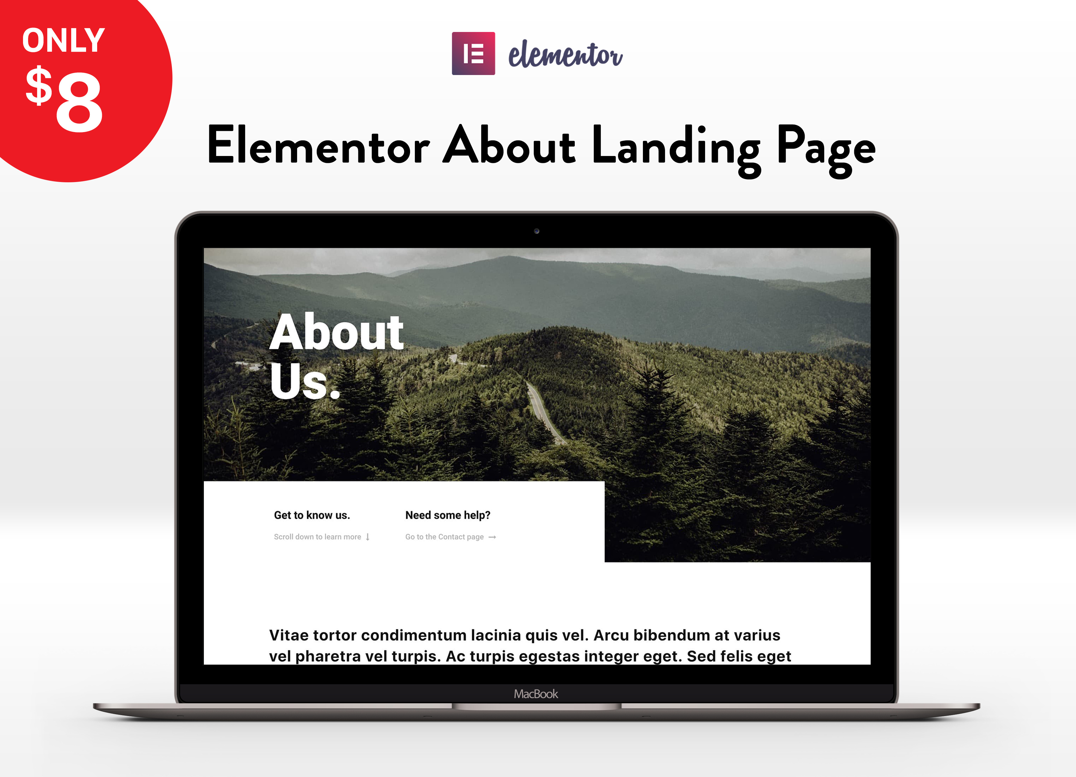 Elementor Landing Page Template, an UI Kit Template by Elementor Market