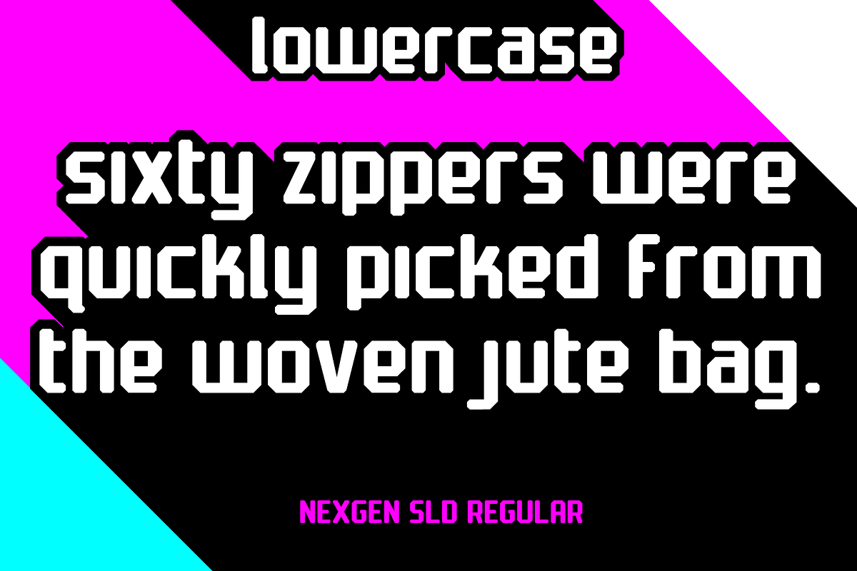 Nexgen SLD Font Family, a Sans Serif Font by Alphabet Agency