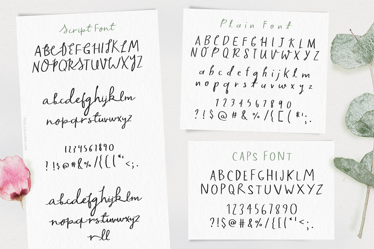 Script Font Sage and Pink, a Script Font by pixelcolours