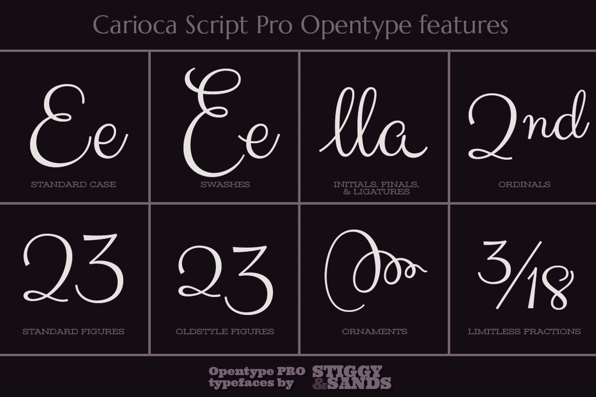 Carioca Script Pro, a Script Font by Stiggy & Sands