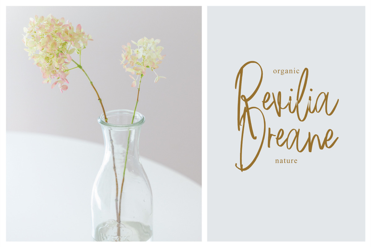 Bolinda Signature, a Handwritten Font by Eltypesstudio