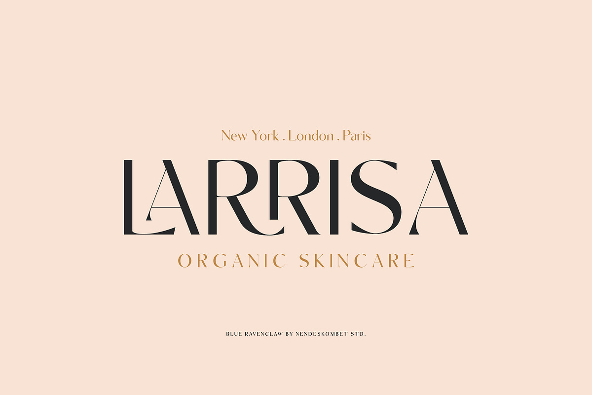 The Blue Ravenclaw - Stylistic Sans, a Sans Serif Font by NendesKombet ...