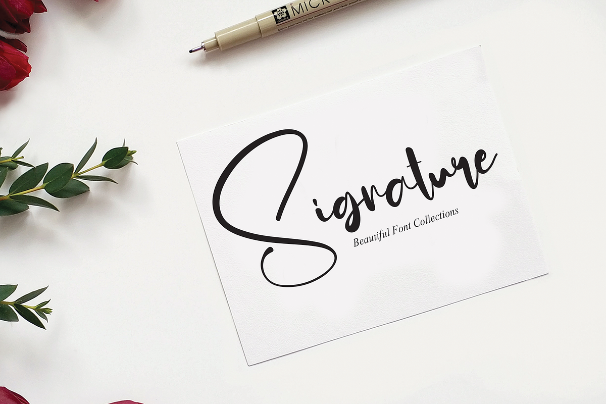 Animate | Script Font, a Script Font by Scratchones