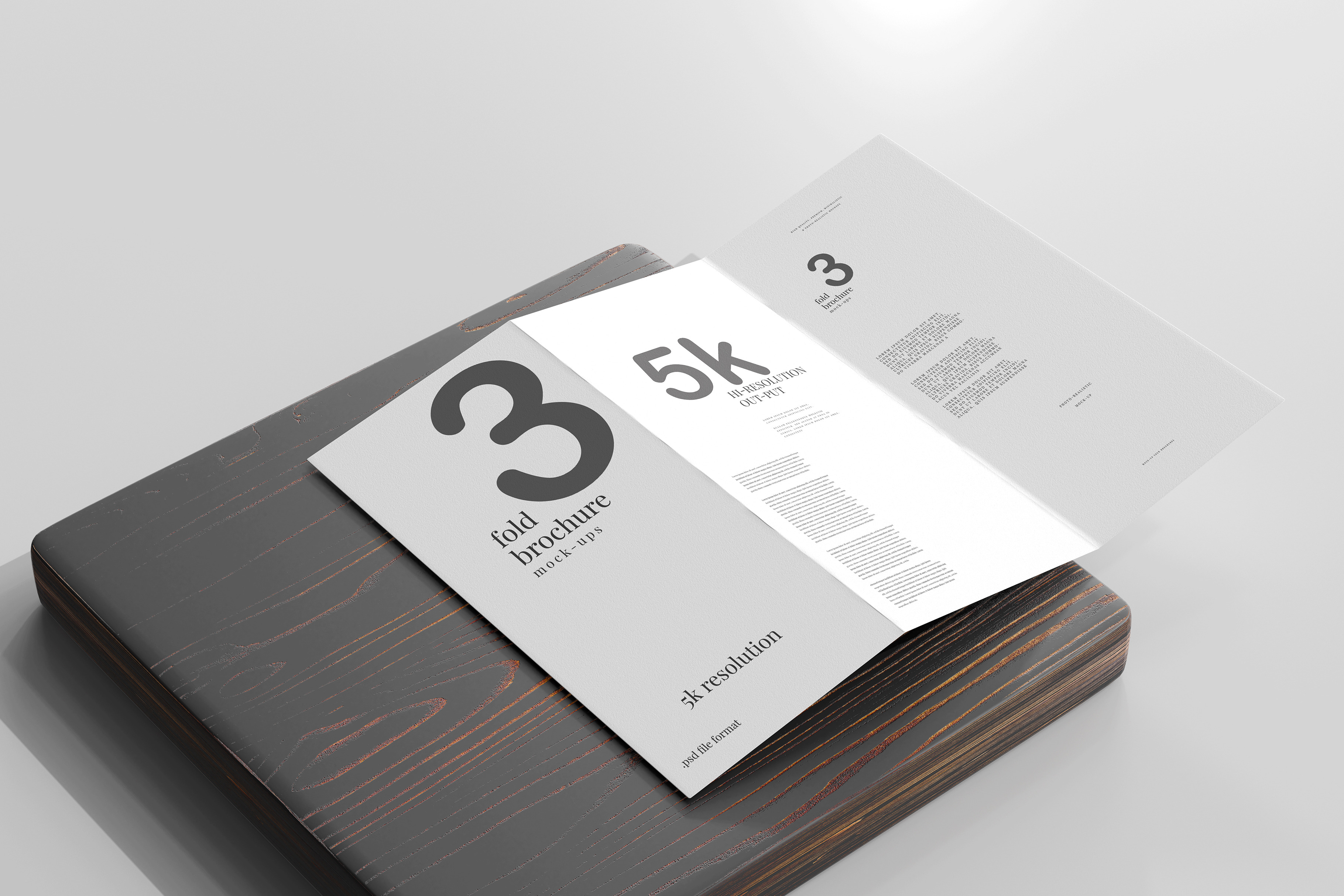 DL Size Tri-Fold Brochure Mockup, a Print Template by pmvch